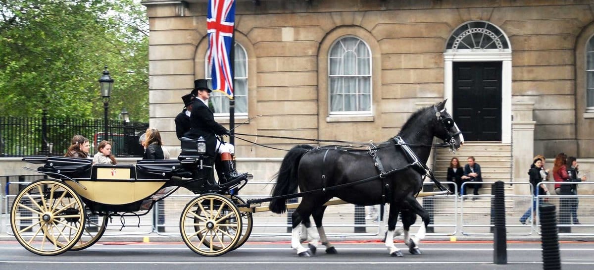 Private horse-drawn carriage tour of London - Cheval Knightsbridge ...